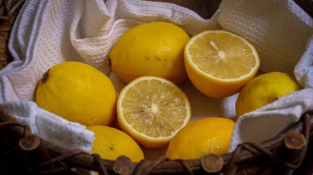Quais tipos de limão existem? Conheça as principais variedades