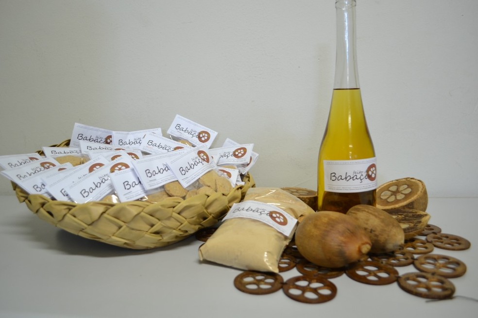 Pesquisa desenvolve primeira bebida e queijo à base de coco-babaçu do ...