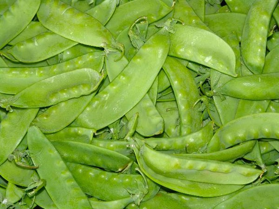 Ervilha torta é opção de renda para agricultura familiar no Sul de Minas