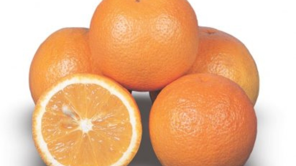 Existem mais de 5 tipos de laranja. Descubra se você conhece todas!