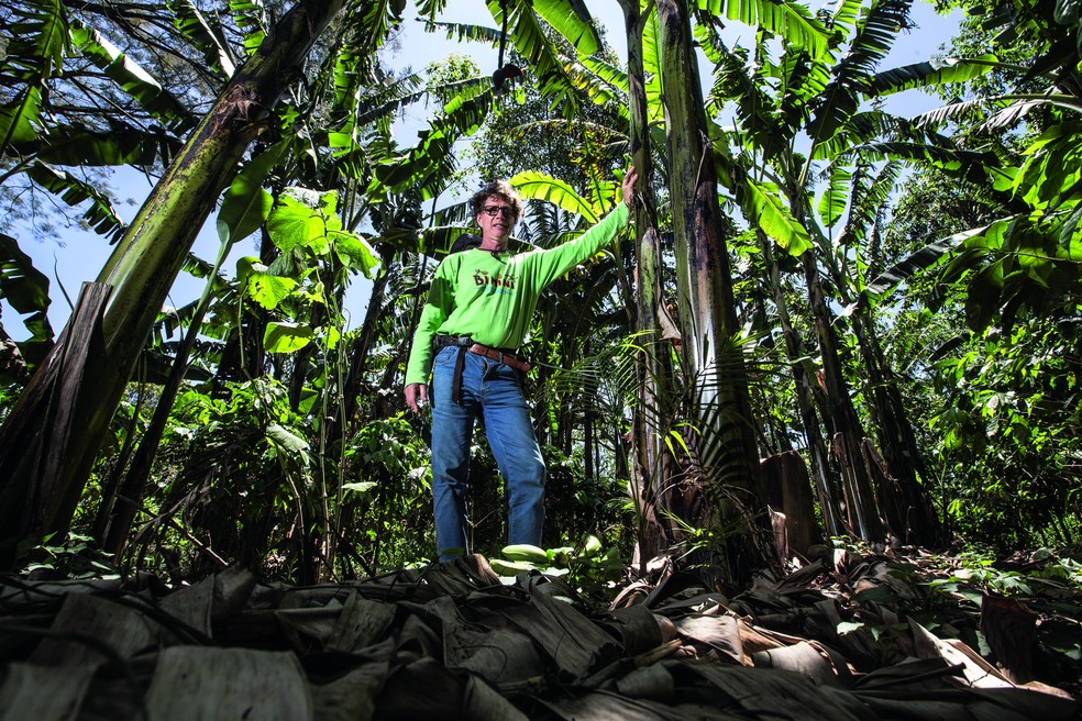 Abelhas garantem renda, saúde e maior produtividade nas lavouras