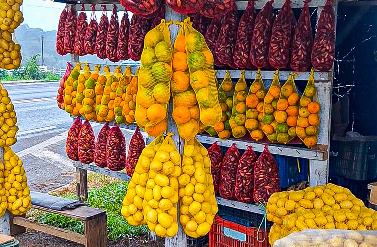 Venda de produtos agrícolas é intensa em beira de rodovia no Paraná