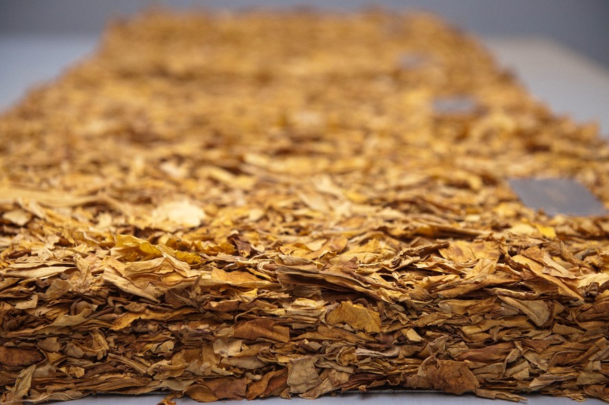 COP do Tabaco começa nesta segunda-feira na Suíça