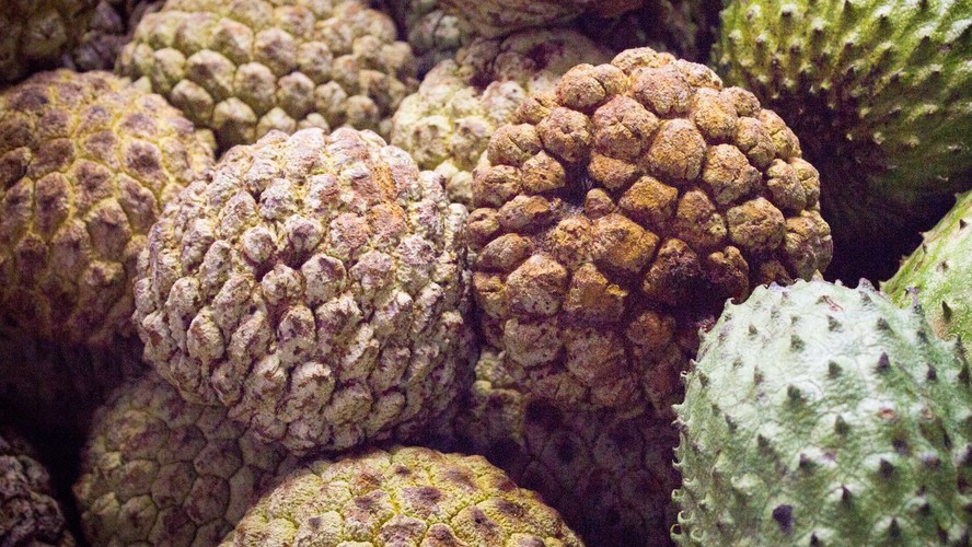 Araticum, a fruta do Cerrado que pode ser mais doce que a cana-de-açúcar