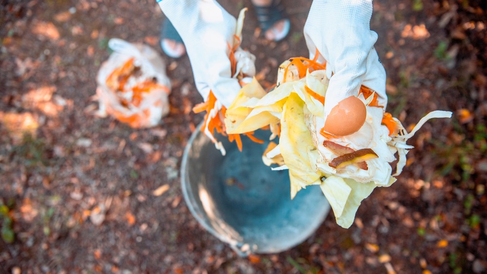 Como fazer adubo orgânico com restos de alimentos