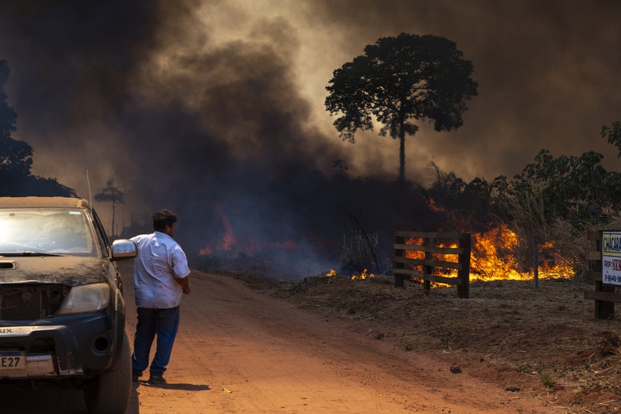 Queimadas no Brasil: quais são as causas e como é o monitoramento
