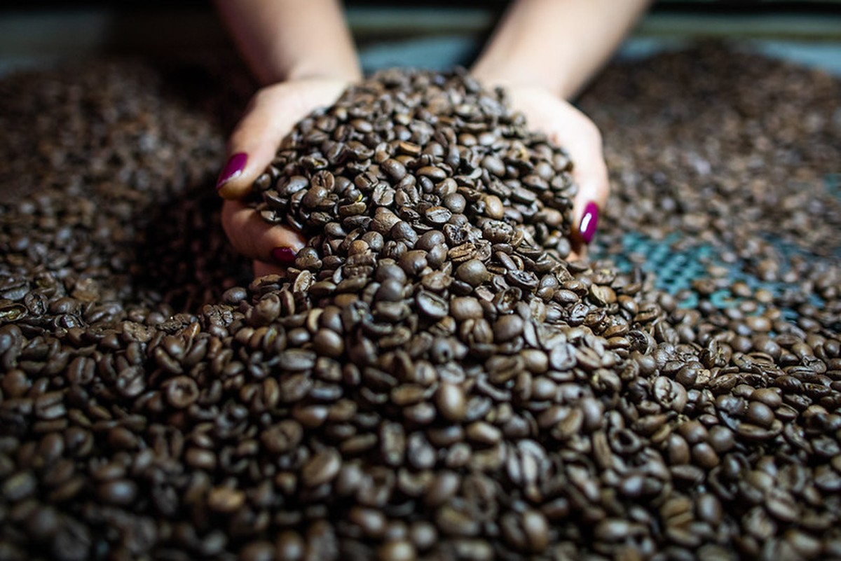 Café opera de forma estável na bolsa de Nova York