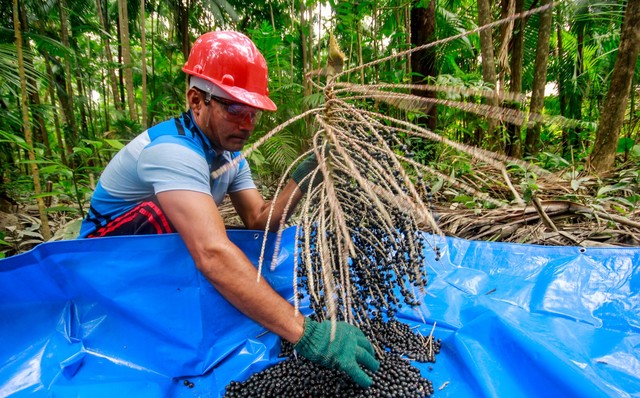 Existe jeito certo de comer açaí? Entenda a polêmica gastronômica do BBB24