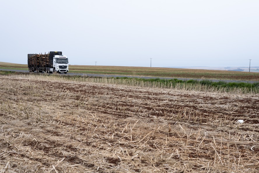 Sem agregar novas áreas, ADM inicia nova fase de programa de ...