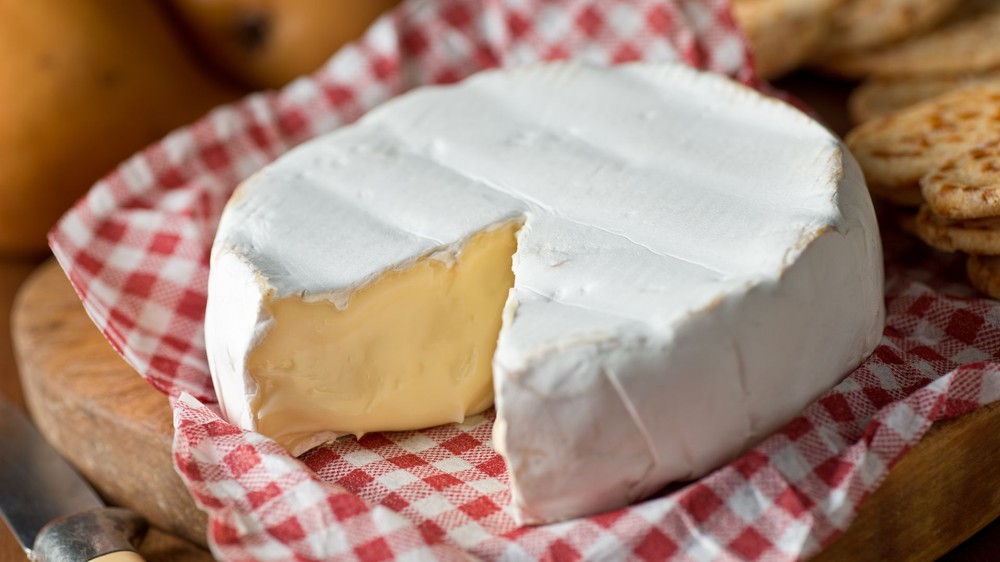 Conheça 20 tipos de queijo e saiba como eles são feitos