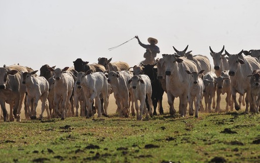 Área ocupada pela agropecuária no Brasil cresceu 50% em 38 anos