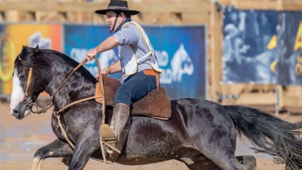 Atacante Éder, do Criciúma, é criador de cavalos e prepara primeiro leilão