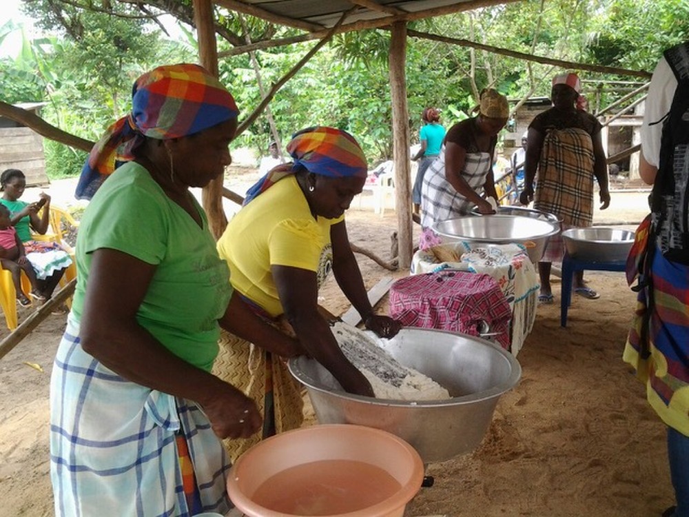 Da Amazônia para o mundo: empresas tentam exportar gastronomia da floresta