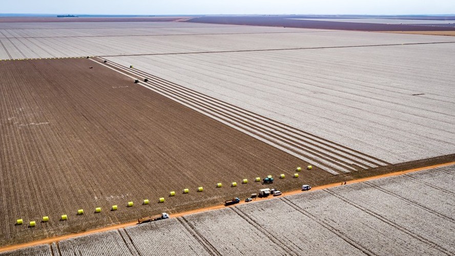 Amaggi lança programa para promover agricultura regenerativa
