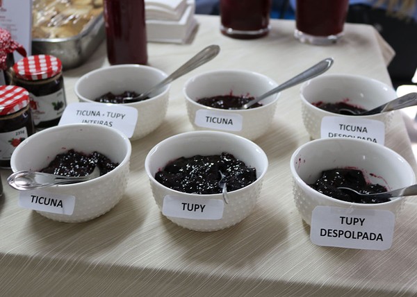 Nova variedade de amora é ideal para geleias e doces; conheça