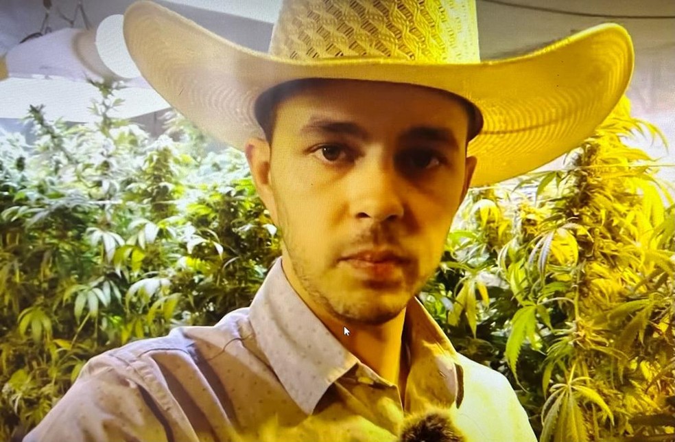 Conheça os irmãos goianos que faturam milhões plantando cannabis nos EUA