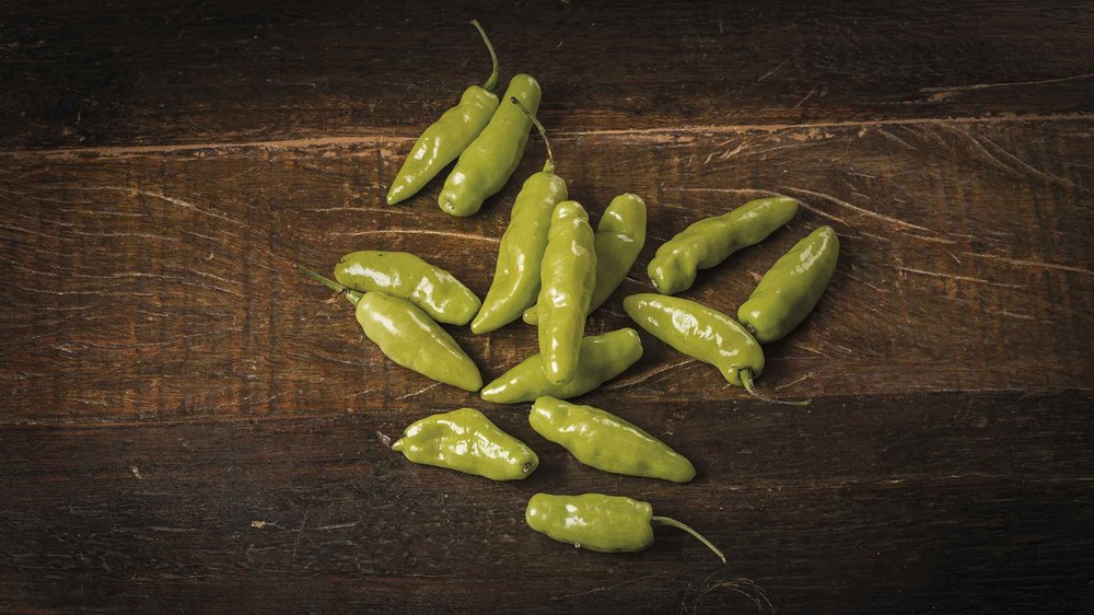 Tipos de pimenta: conheça as variedades mais consumidas no Brasil