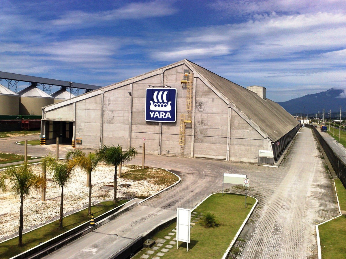 Brasil vai produzir amônia verde antes da Europa, diz Yara