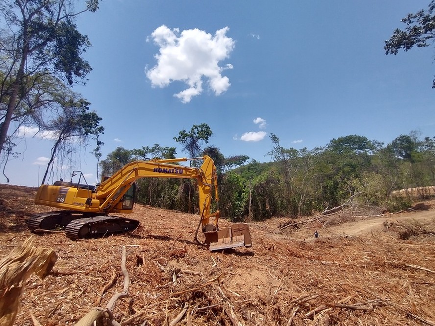 Desmatamento na Amazônia cai quase 22% em um ano, mostra governo