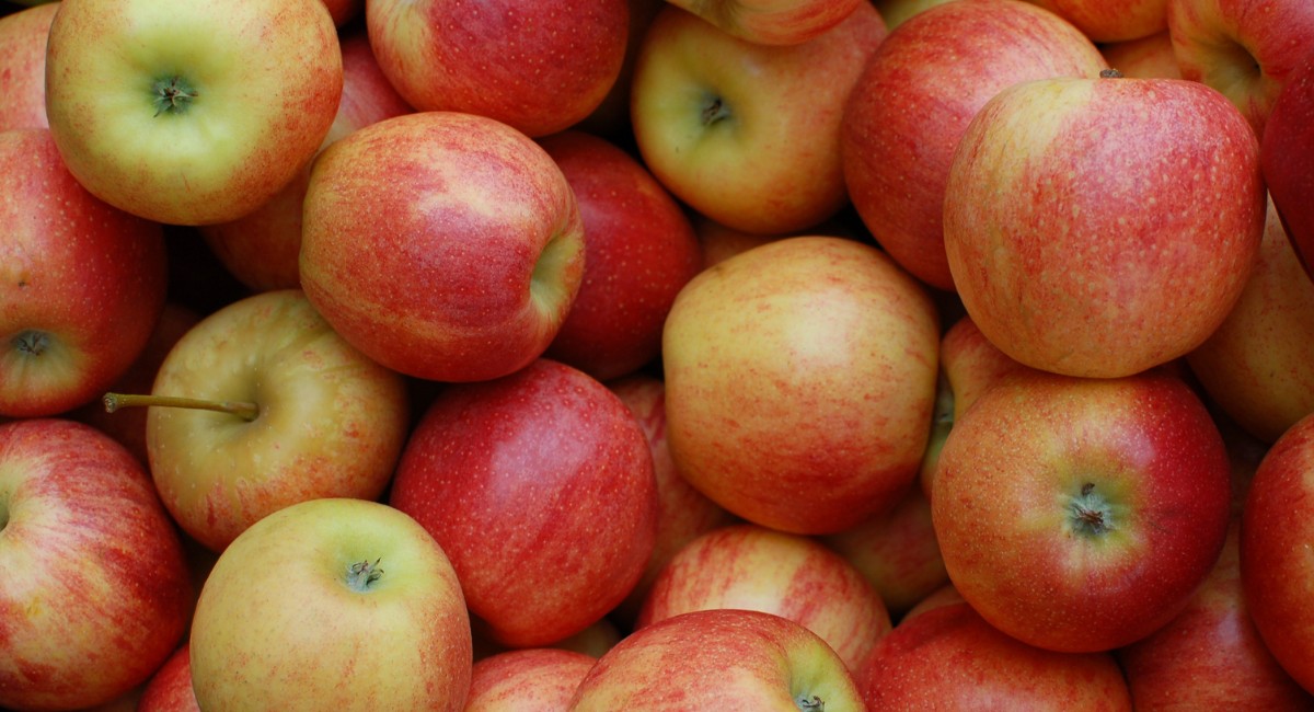 Por que a maçã escurece depois de cortada? Saiba como evitar desperdício