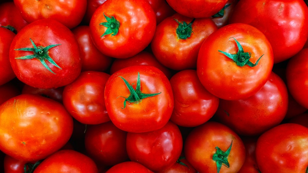 Existem mais de 10 mil tipos de tomate. Você conhece todos?