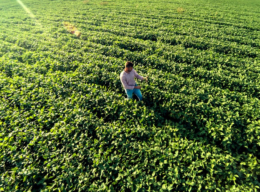 Syngenta completa 25 anos e investe em inovação agrícola
