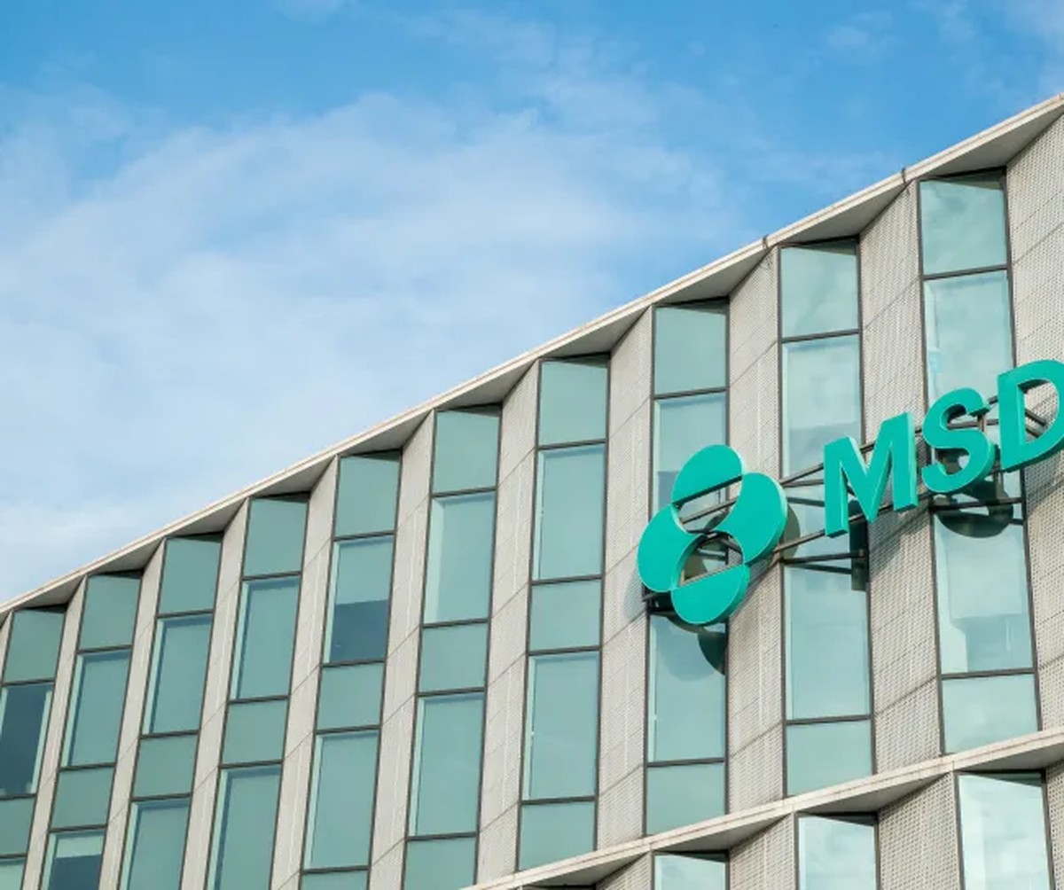 MSD Brasil abre inscrições para programa de estágio com 20 vagas