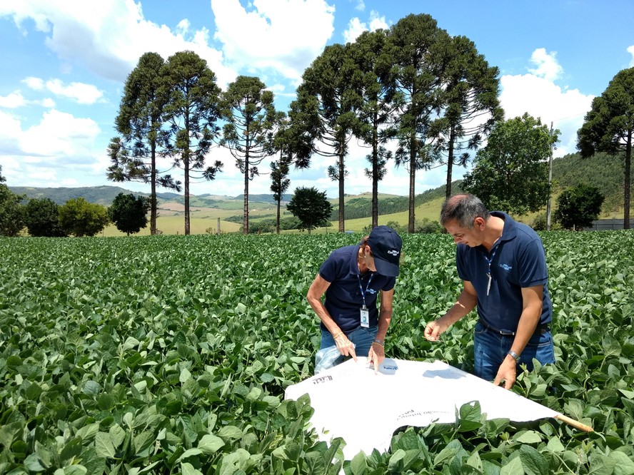 Embrapa completa 50 anos e define as prioridades para as próximas décadas