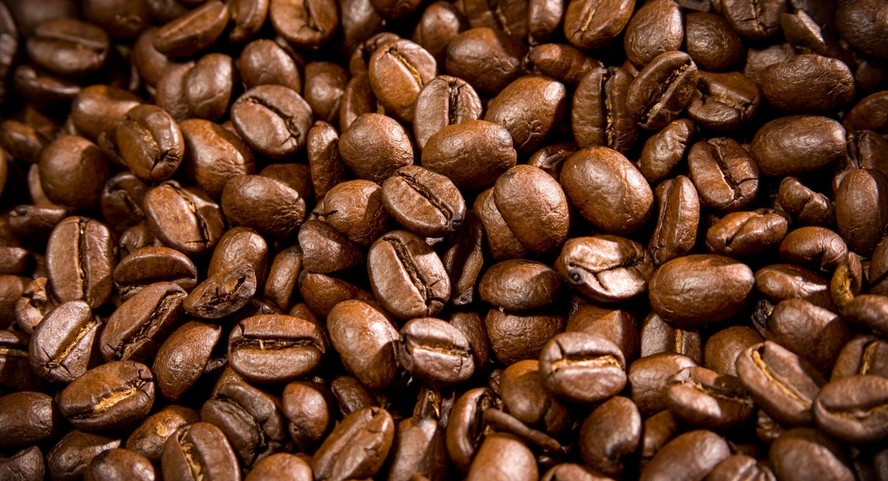 Quais tipos de café existem? Conheça as principais variedades