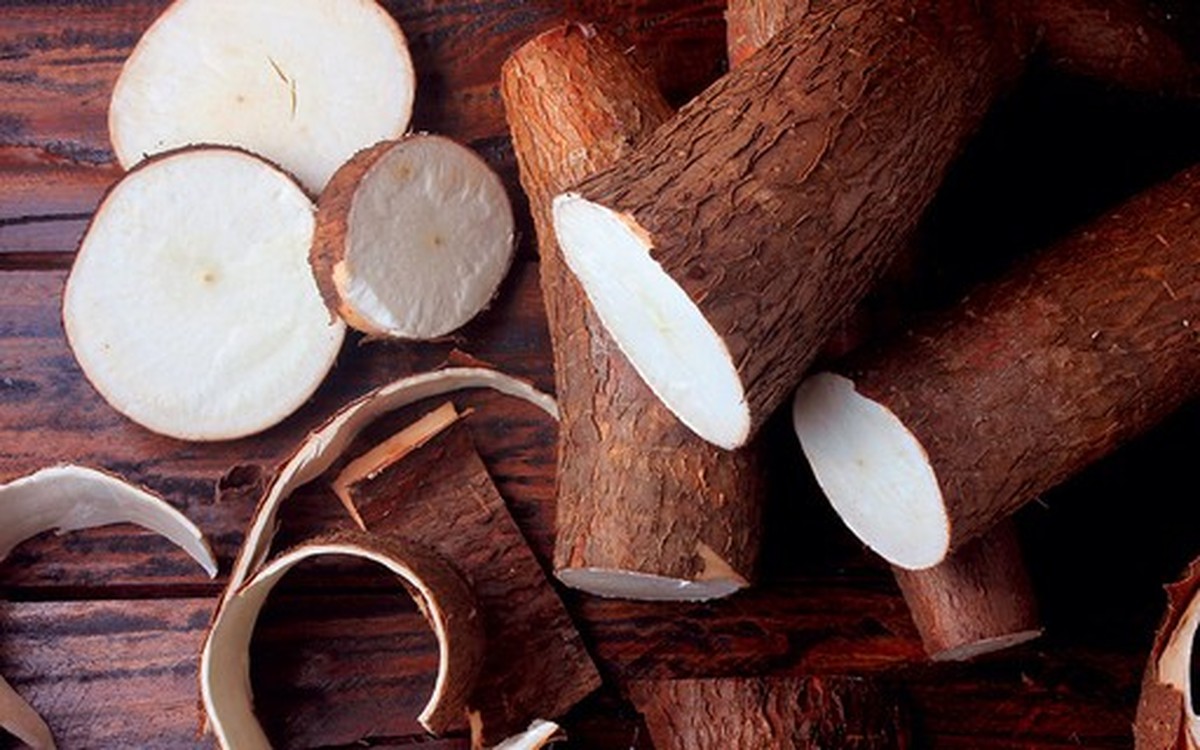 Mandioca, a nativa que garante tradição e segurança alimentar