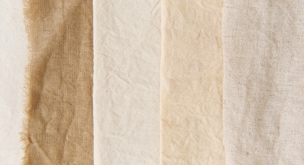 O que é cânhamo e para que serve a planta que poderá ser cultivada e ...