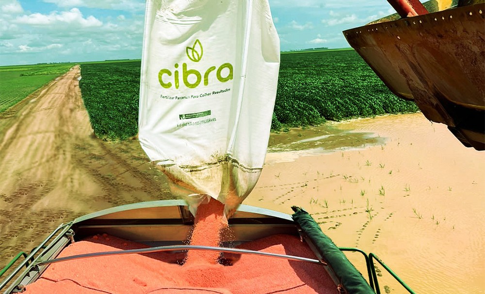 A importância dos fertilizantes na conservação ambiental e na segurança ...