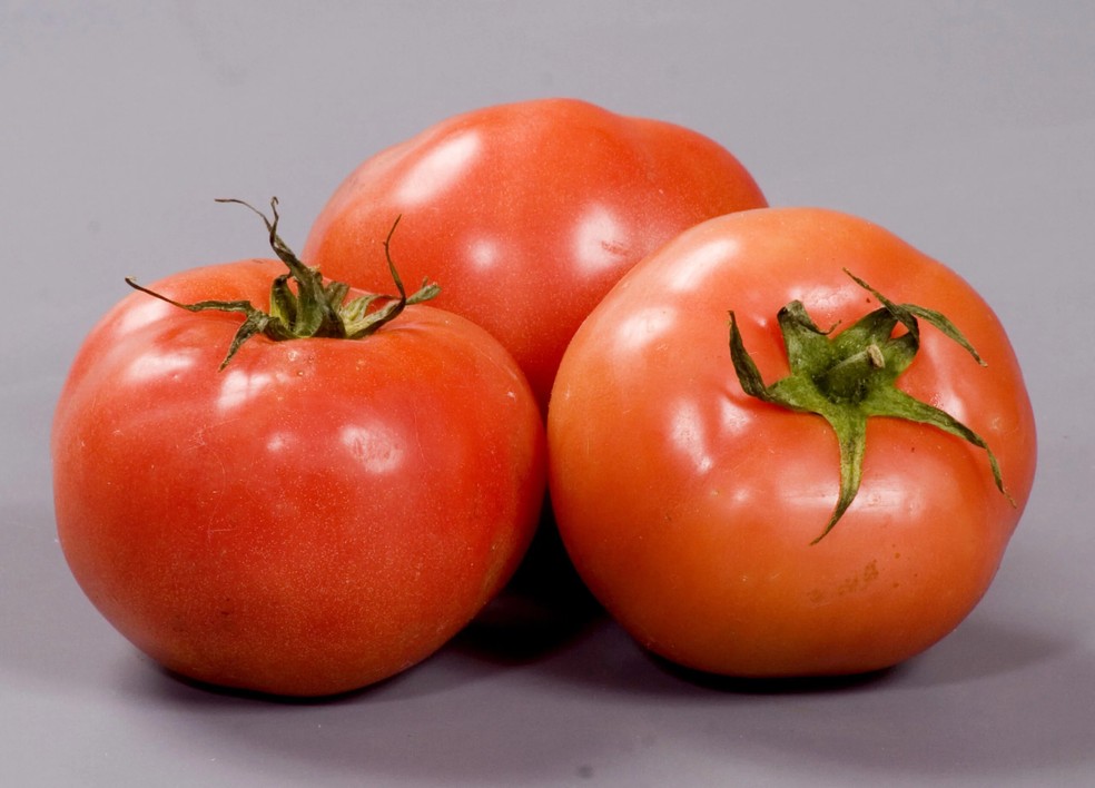 Existem mais de 10 mil tipos de tomate. Você conhece todos?
