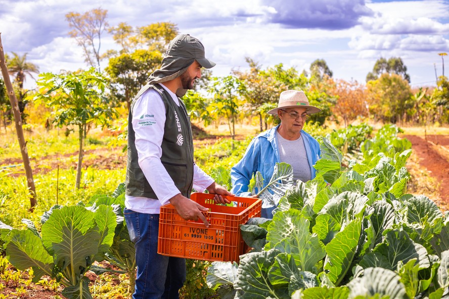 Renda de trabalhadores rurais melhora e desemprego entre mulheres cai