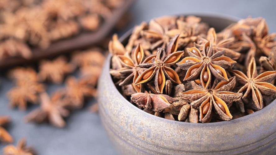 Como plantar anis-estrelado, especiaria usada na medicina e culinária