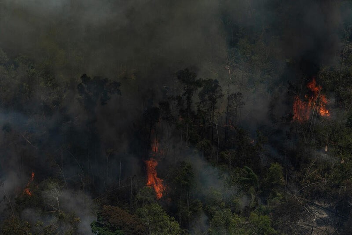 Mapa das queimadas no Brasil em 2024: veja os locais atingidos