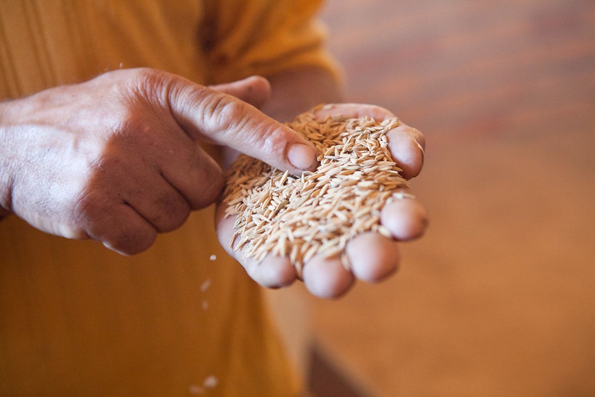 Ritmo de queda do preço do arroz desacelera no mercado interno