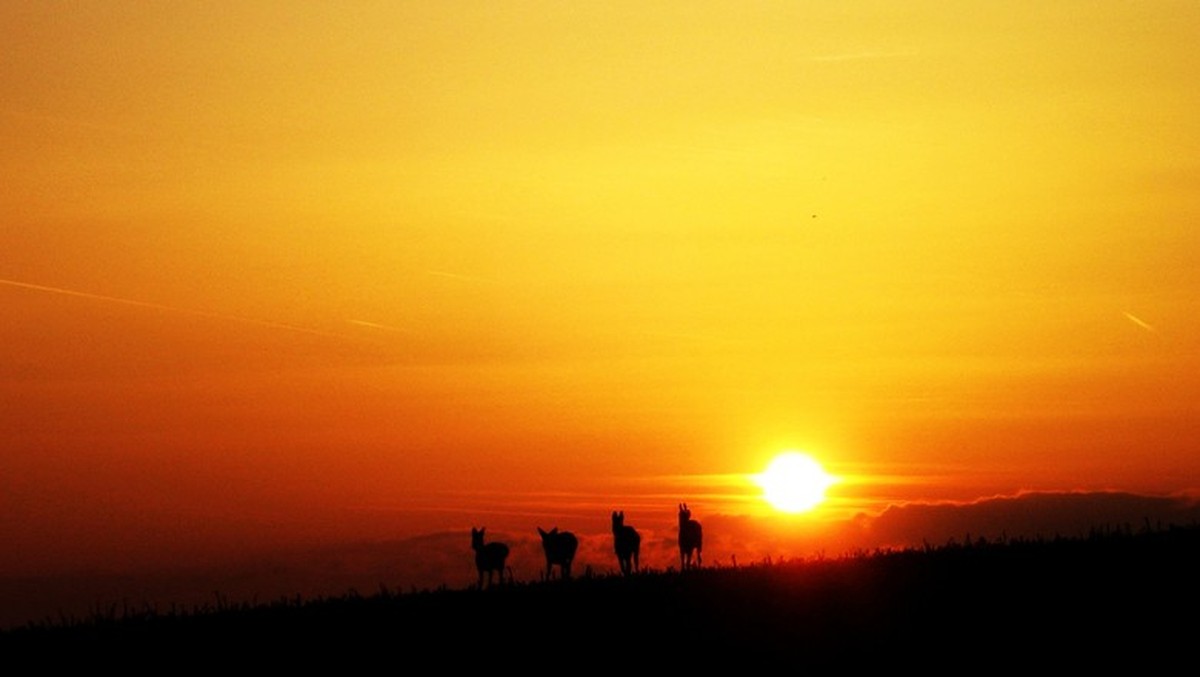 Calor extremo persiste no Brasil e temperatura pode bater novo recorde
