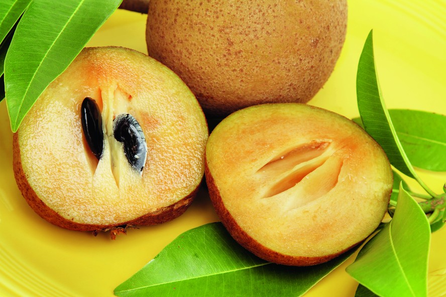 Fruta De Permissao