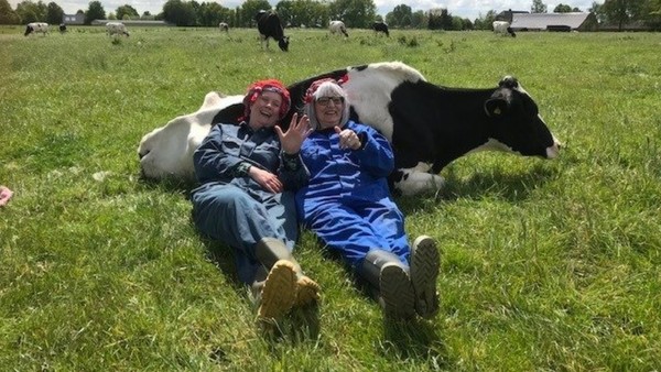 Fazendas cobram até R$ 600 para realizar 'terapia do abraço' com vacas