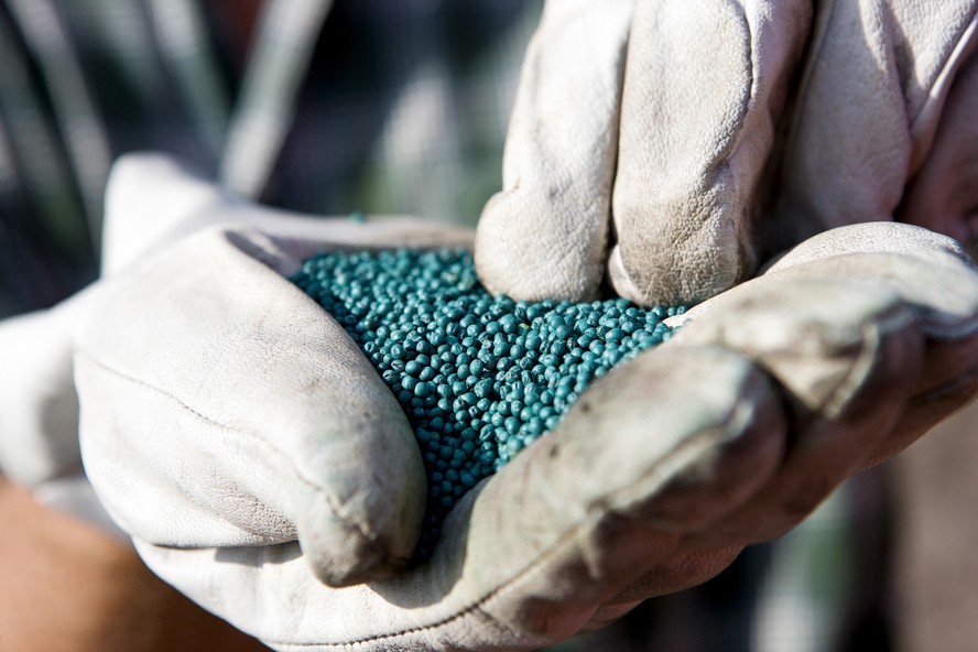 Basf prioriza tratamento de sementes no mercado de biológicos na ...