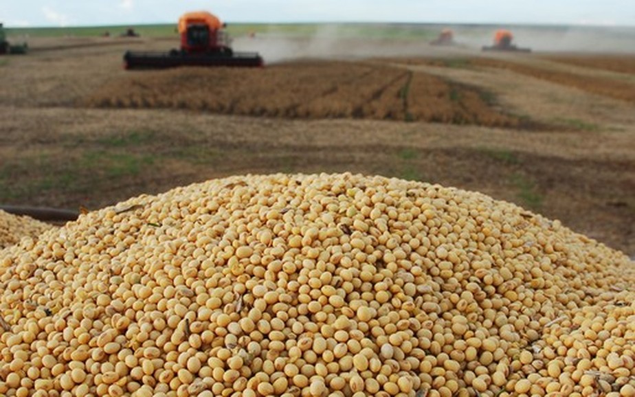 BrasilAgro faz aporte em unidade de sementes na Bahia