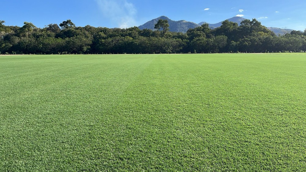 Gramado natural ou sintético? Como se cuida de um campo de futebol