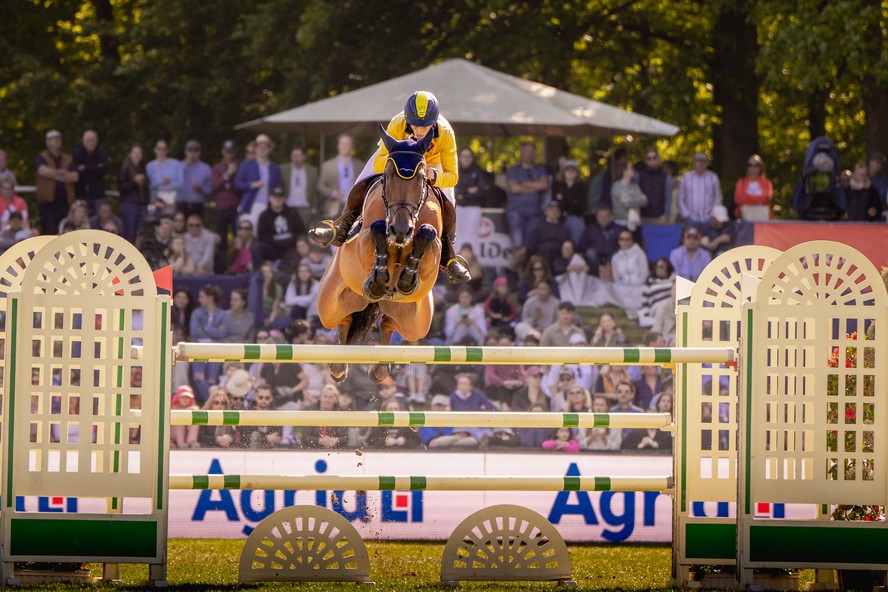 Hipismo nas Olimpíadas: conheça Miss Blue, uma das favoritas ao pódio