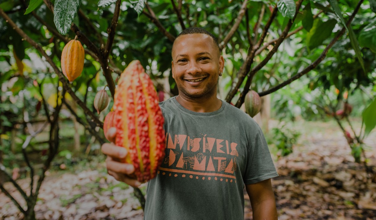 Cacau orgânico muda a vida de assentados no sul da Bahia