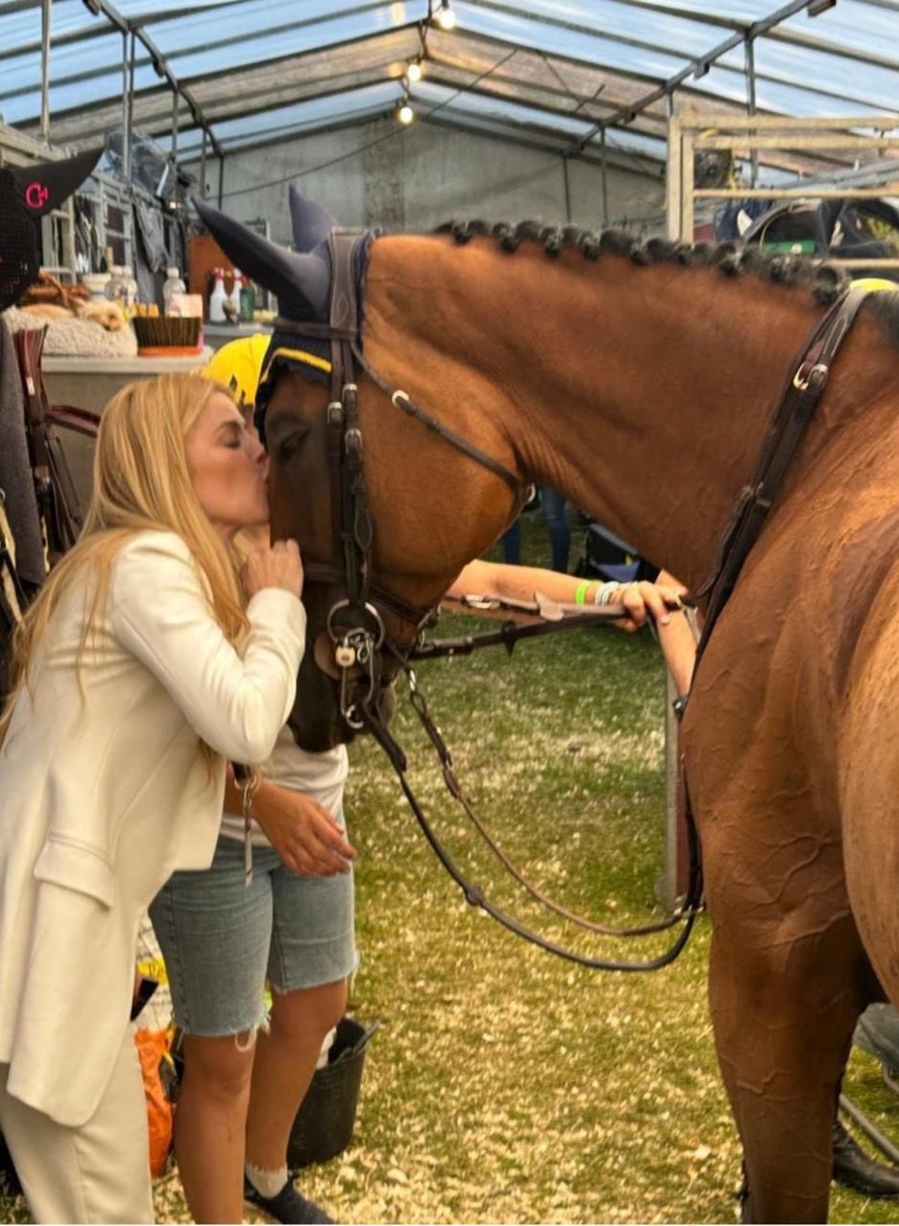 Hipismo nas Olimpíadas: conheça Miss Blue, uma das favoritas ao pódio