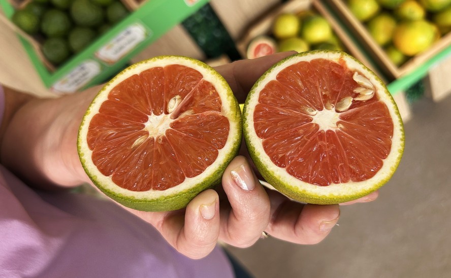 Laranja vermelha? Conheça a 'falsa-sanguínea' que chama atenção pela cor