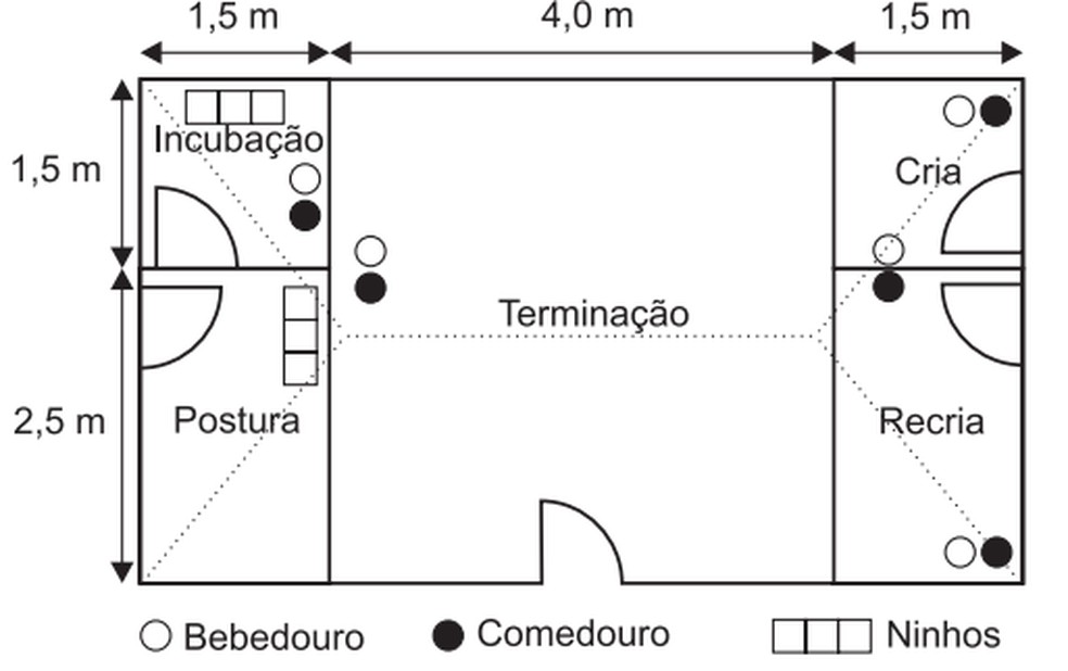 Como fazer um galinheiro: veja passo a passo