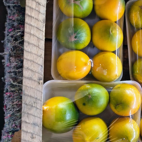 Você já ouviu falar em abiu? Fruta exótica da Amazônia é rica em fibras ...