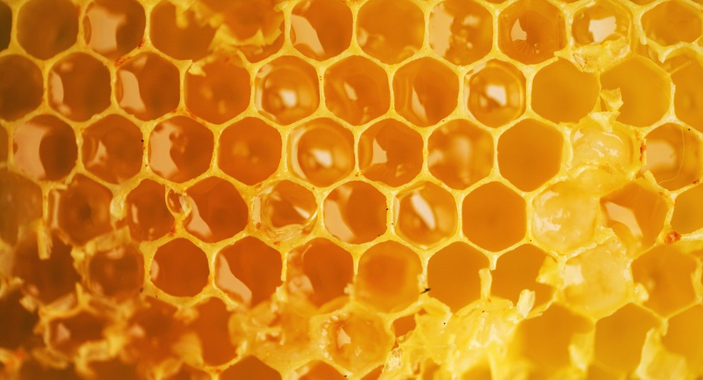 Mel é tudo igual? Saiba o que define cor, aroma e o sabor